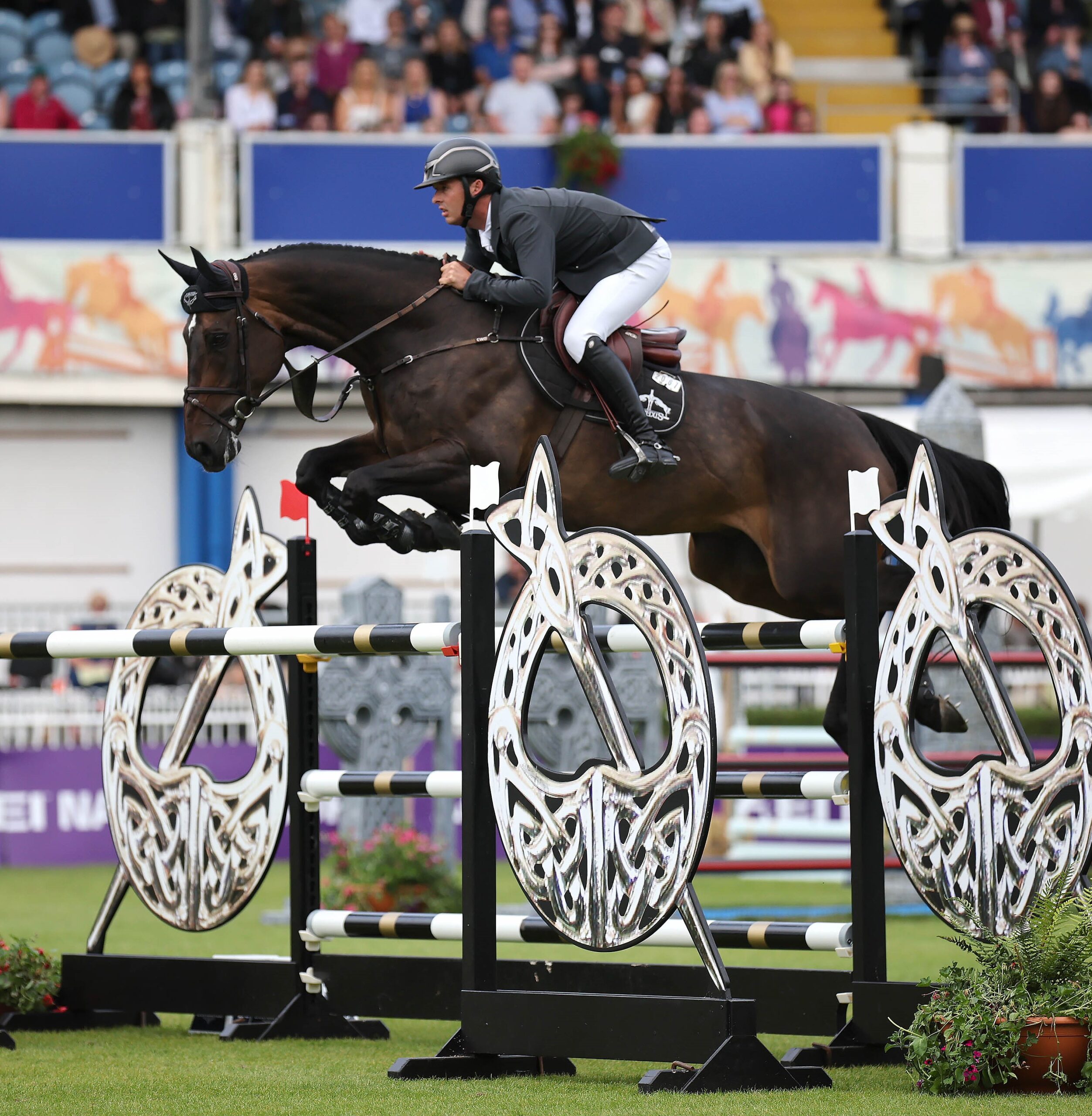 Bertram Allen best of the Irish in Longines Grand Prix of Ireland to ...