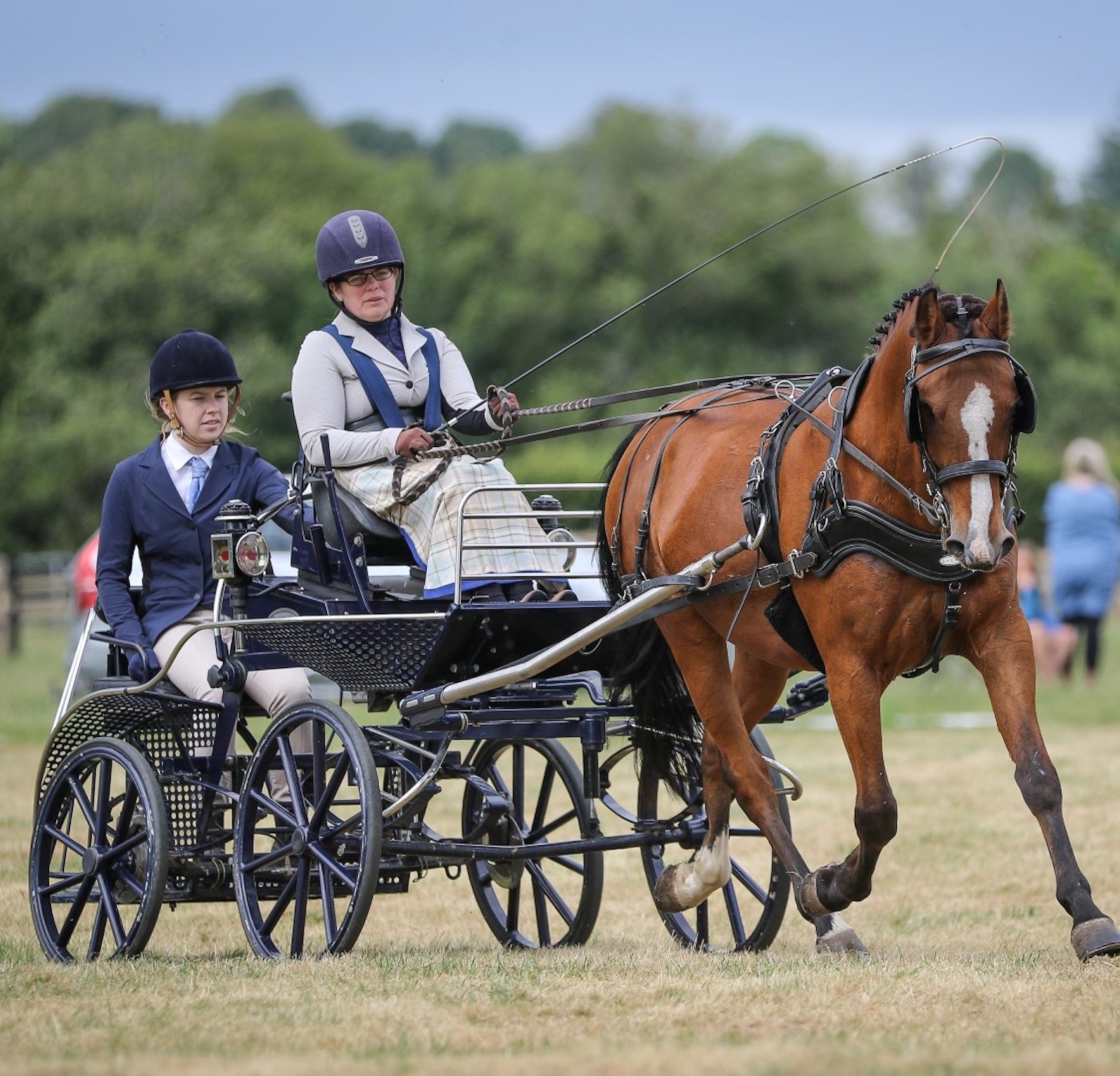 Top 10 finish for Ireland’s Emma Golding at Para Driving World ...
