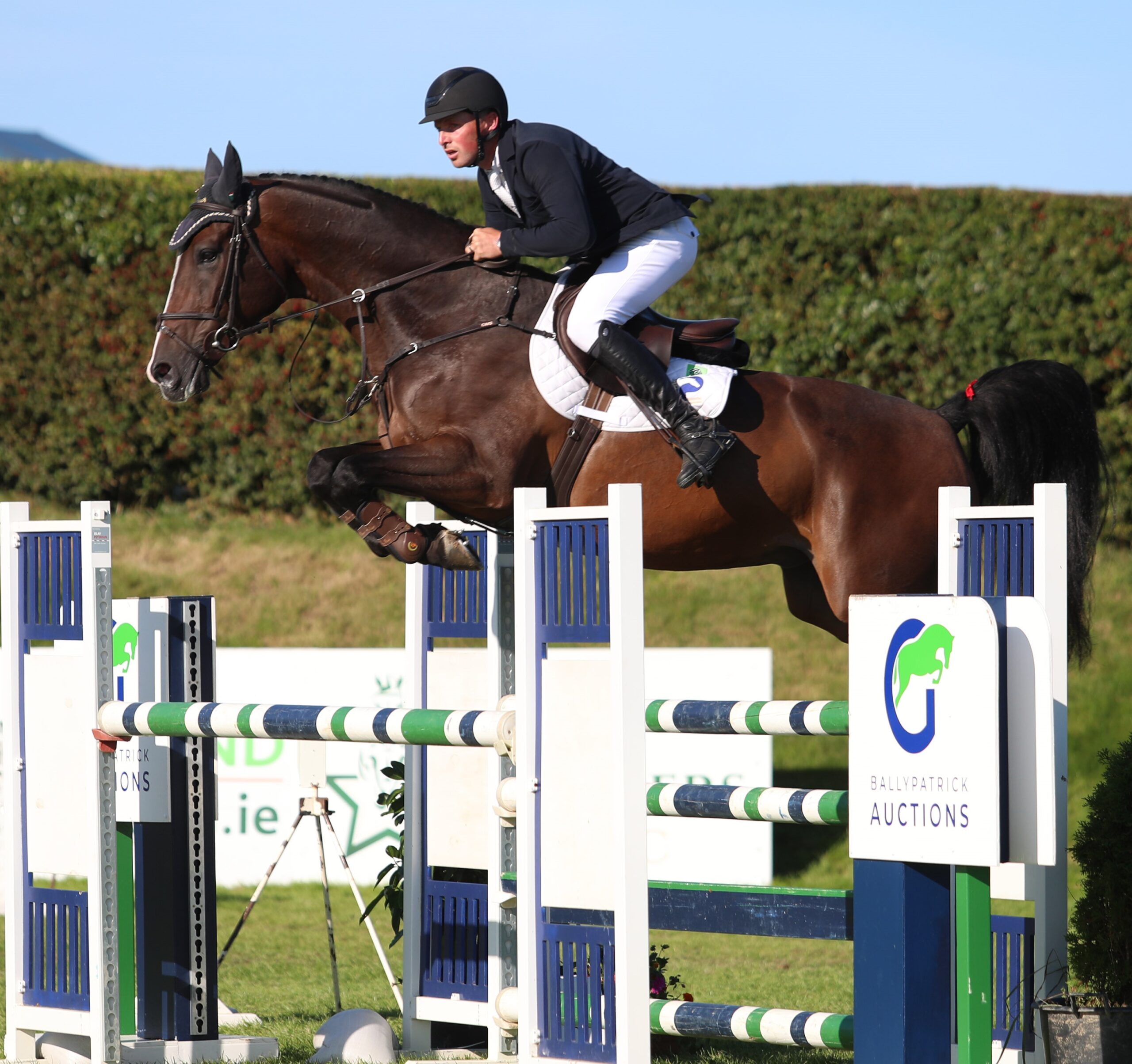 Ger O’Neill and Ballyshan BF Super Hero win lucrative Irish Breeders ...