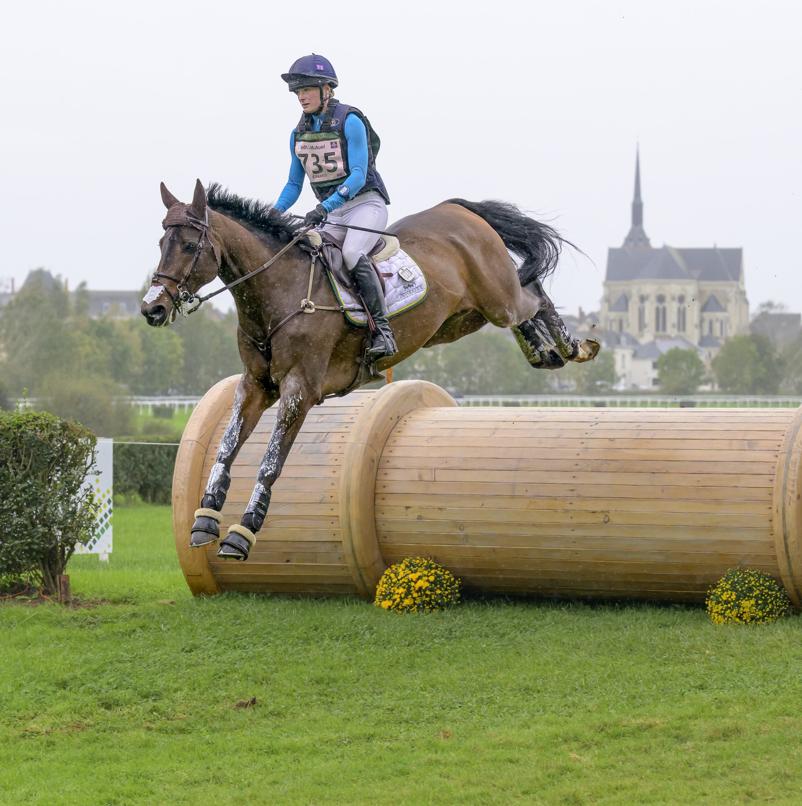 Two Irish-bred horses in top 10 at World Breeding Championship for ...