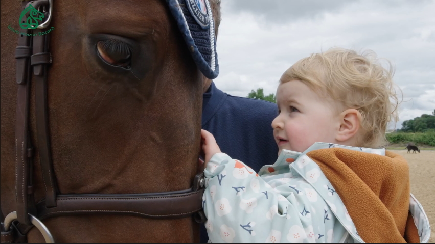 Membership - Irish Horse Board Co-Operative Society
