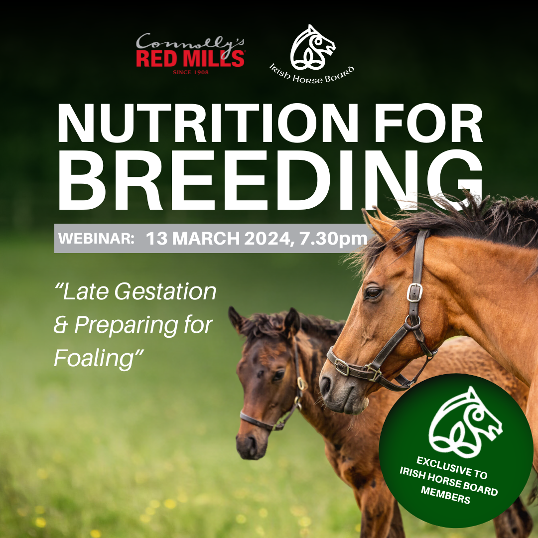 Connolly’s RED MILLS and Irish Horse Board Join Forces to Launch Nutrition for Breeding Success ...