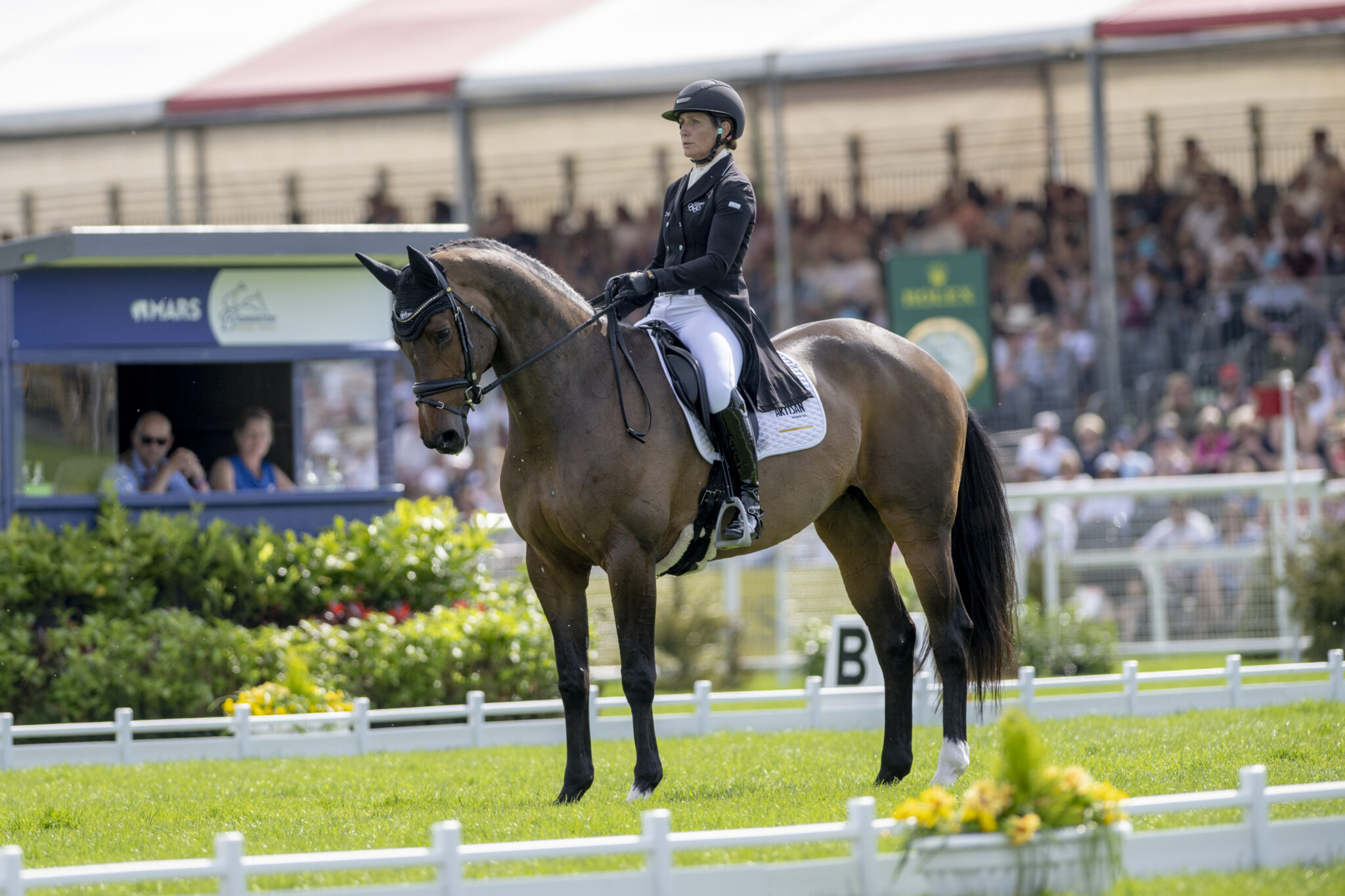 Michael Callery-bred Greenacres Special Cavalier (ISH) in seventh place ...