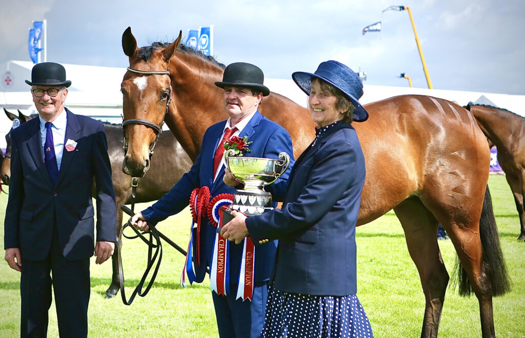 BALMORAL SHOW 2024 – SHOWING REVIEW - Irish Horse Board Co-Operative ...