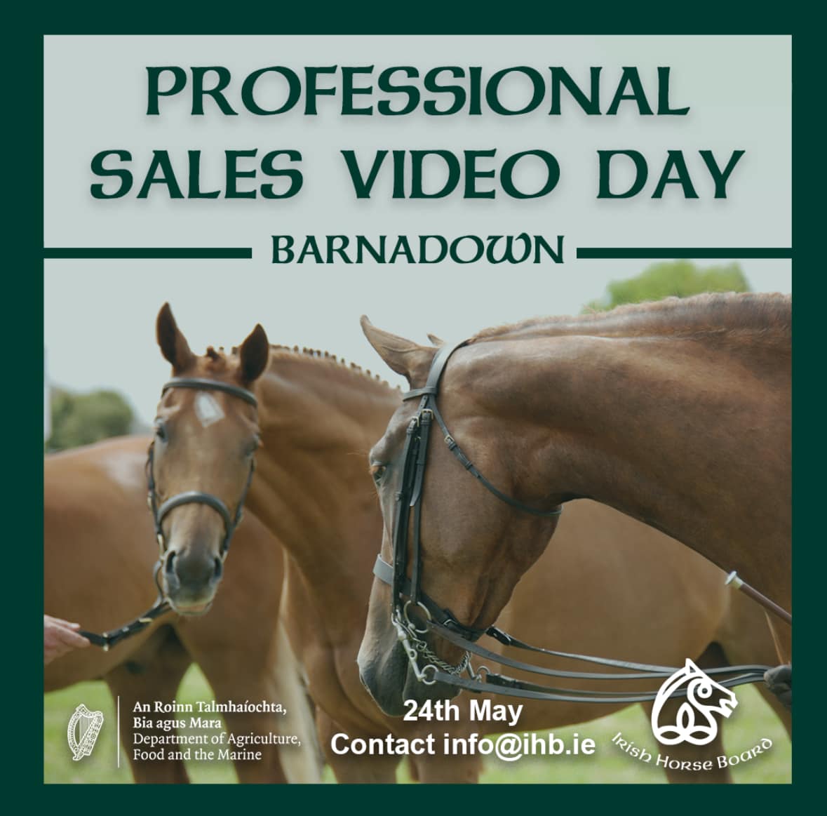 Professional Sales Video Day – Barnadown, Co Wexford. Friday 24th May ...