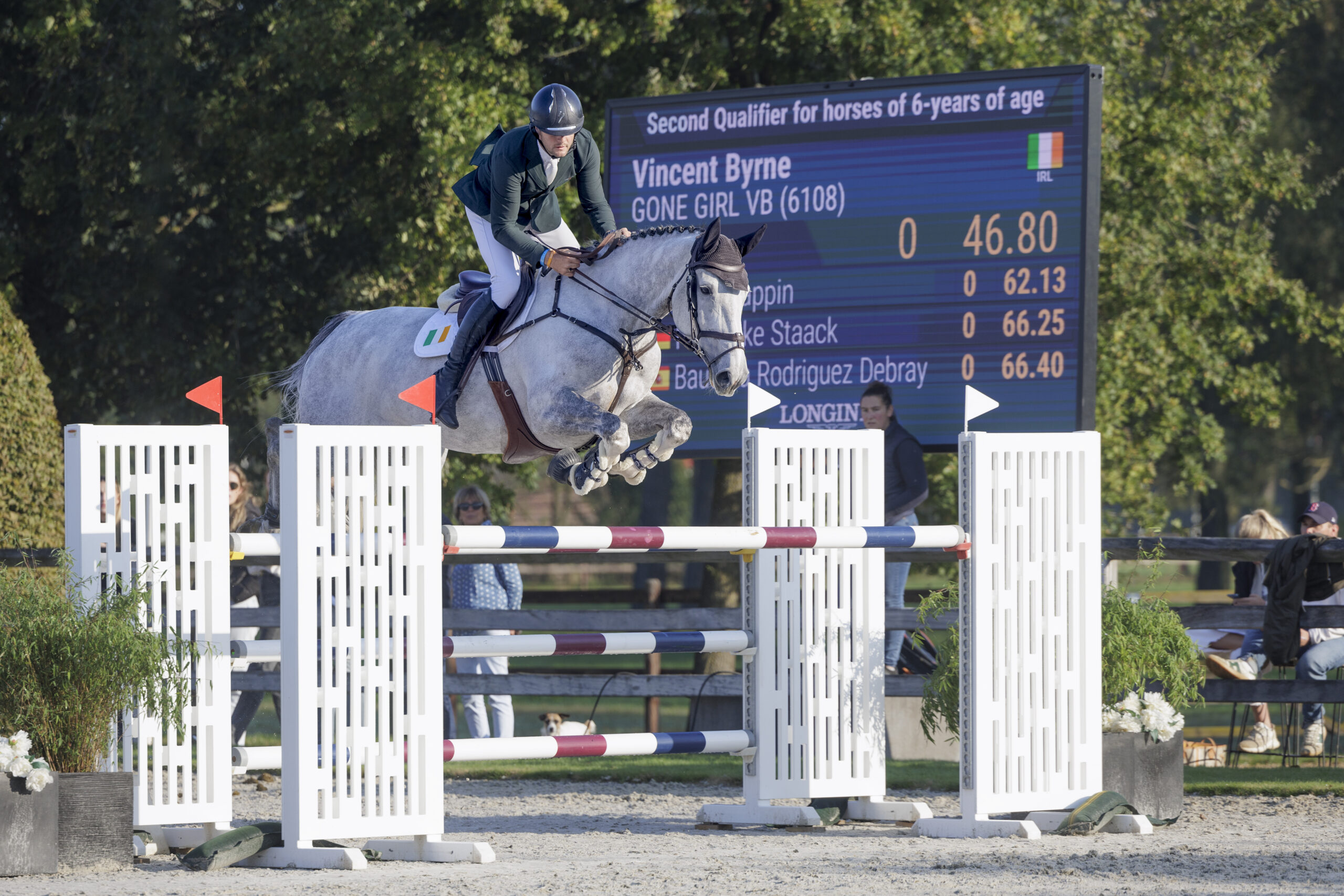 Irish-bred young horses impress on way to qualification for World ...