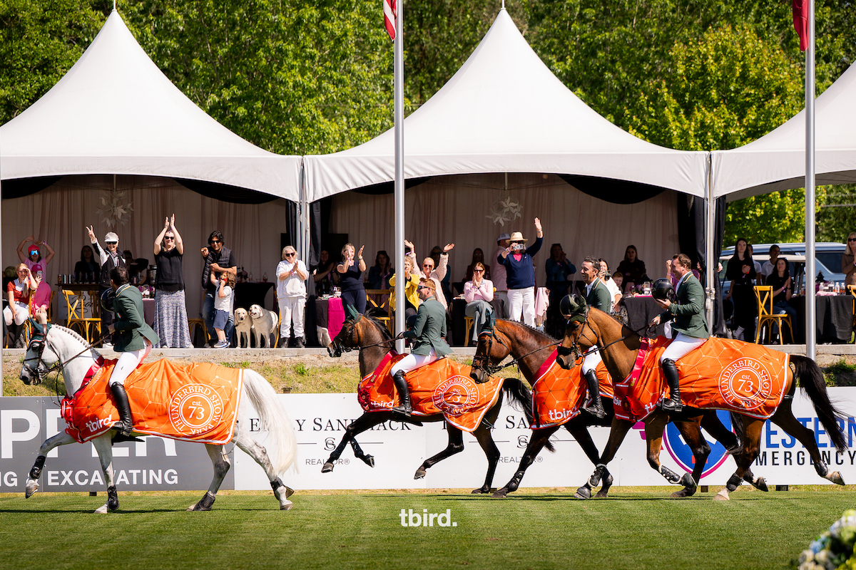 Ireland score third consecutive Langley Nations Cup win - Irish Horse ...