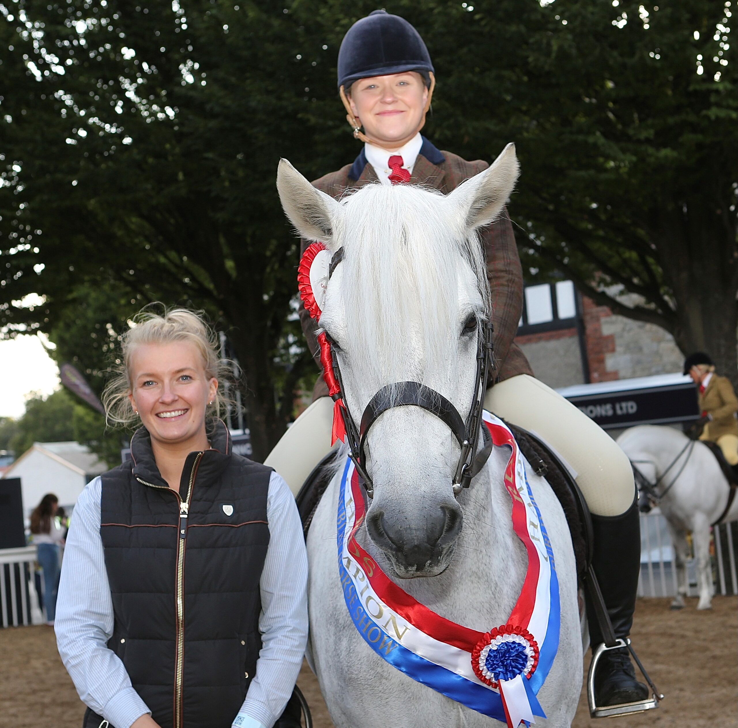 Connemara – The supreme native performance breed at Dublin - Irish ...