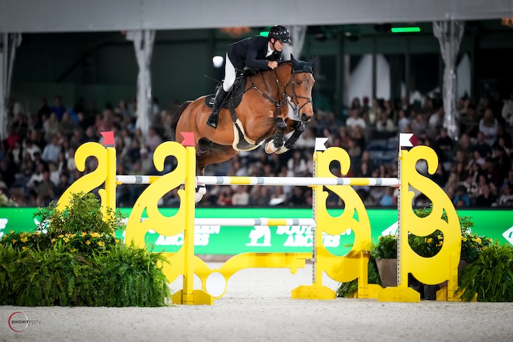 Irish breeders shine in USA and Middle East - Irish Horse Board Co ...